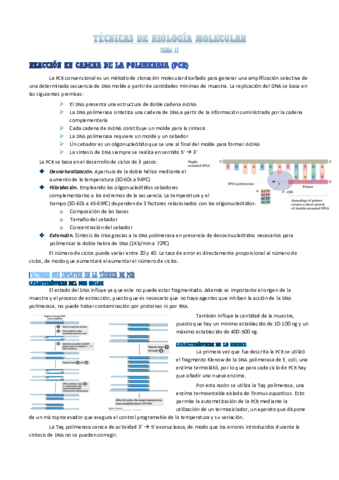 tecnicas-de-biologia-molecular.pdf
