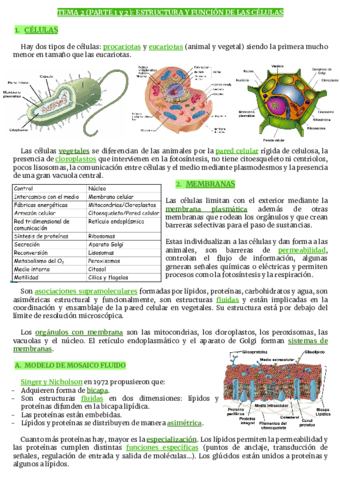 TEMA-2-ESTRUCTURA-Y-FUNCION-DE-LAS-CELULAS.pdf