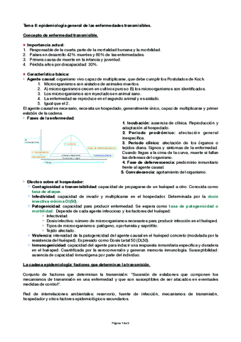 tema-6-sp-pdf.pdf