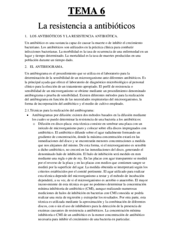 TEMA-6-MICRO.pdf