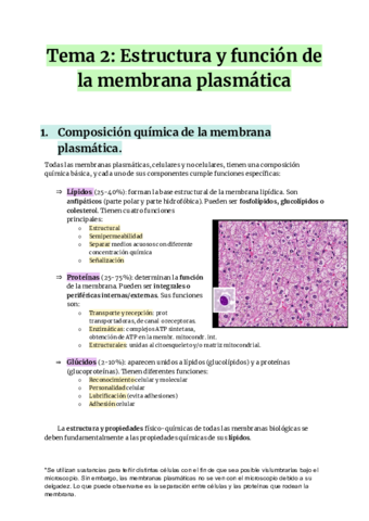BIOCEL-Tema-2-TERMINADO.pdf