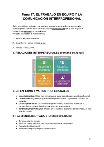 Comunicacion-t17.pdf