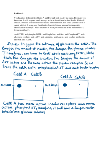 BIOCHEM-EXERCISES-WEEK-10-solved.pdf