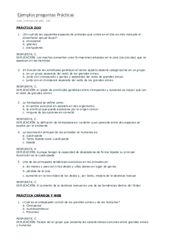 Preguntas-examen-practicas.pdf