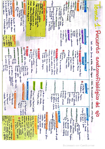 ESQUEMAS-DE-TODOS-LOS-TEMAS.pdf