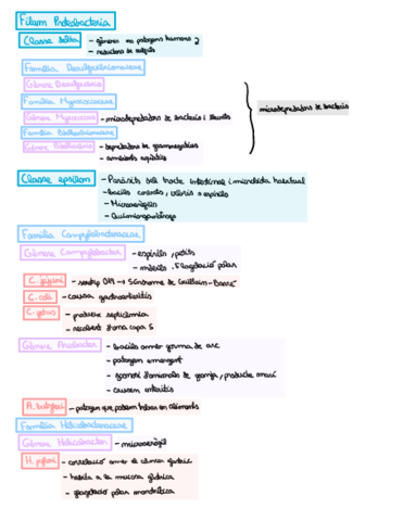 Micro-Esquema-Delta.pdf