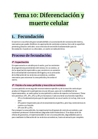 BIOCEL-Tema-10.pdf