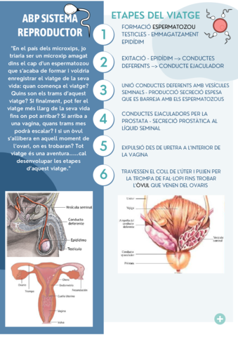 Infografia-ABP.pdf