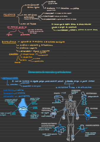 Apuntes-Biomecanica.pdf