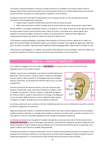 Anatomia-humana-Visceras-y-cavidades.pdf
