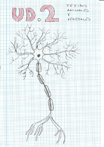 UD-2-Tejidos-animales-y-vegetalesrotated.pdf