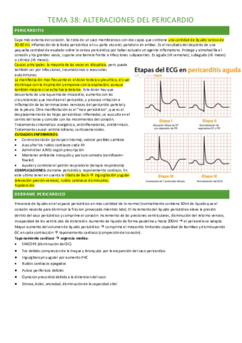 tema-38-completo.pdf