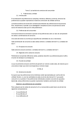 Teoria-Micro.pdf