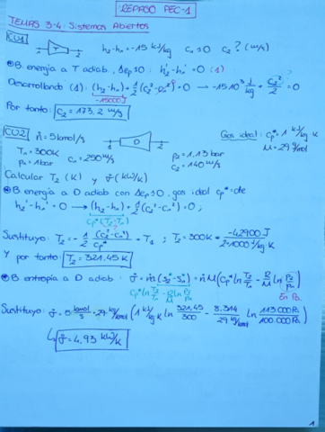 Ejercicios Resueltos PEC1.pdf