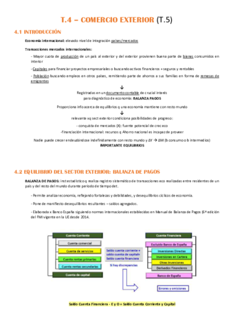 Resumen-T4.pdf