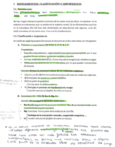 Base-Molecular-de-la-vida.pdf