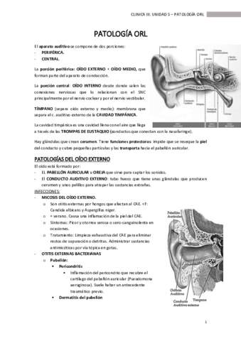 PATOLOGIA-ORL.pdf