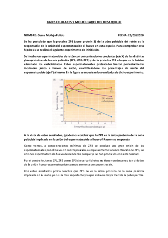 ZP3.pdf