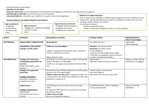 PHYLUM TENERICUTES.pdf
