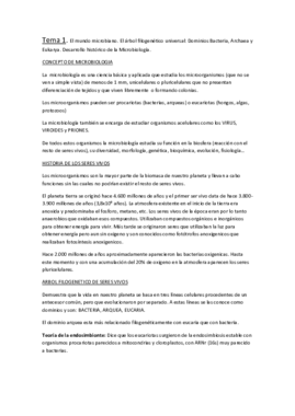 Tema 1 PIM MICRO.pdf