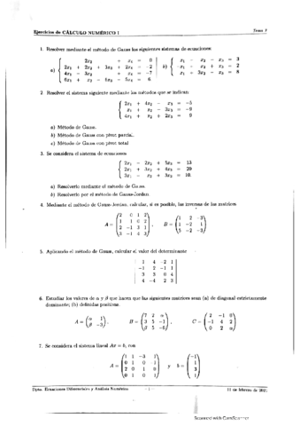 Ejercicios-Calculo-Numerico-Tema-3.pdf