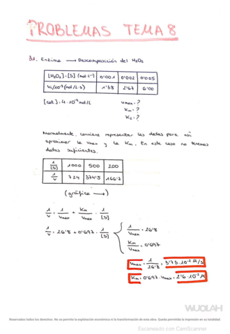 EJERCICIOS-TEMA-8.pdf