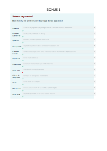 BONUS-1.pdf