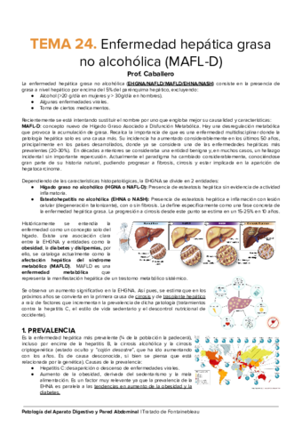 Tema-24-Enfermedad-hepatica-grasa-no-alcoholica.pdf