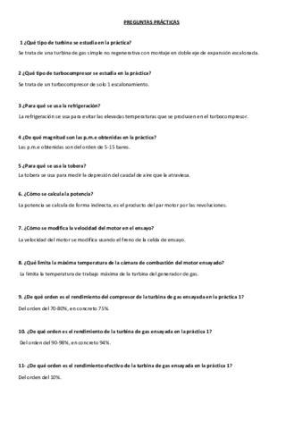 Preguntas-practicas.pdf