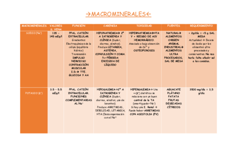 MACROMINERALES.pdf