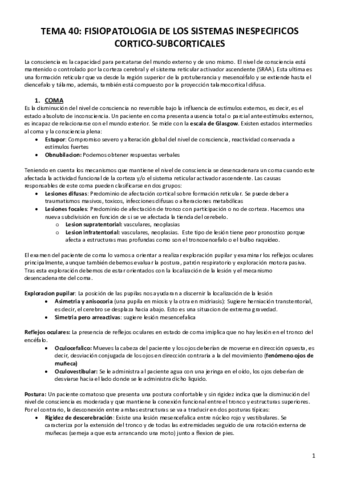 TEMA-40.pdf