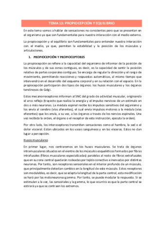 TEMA-13.pdf