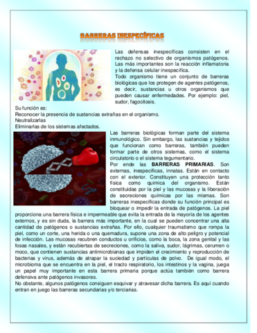 Inmunidad-II.pdf