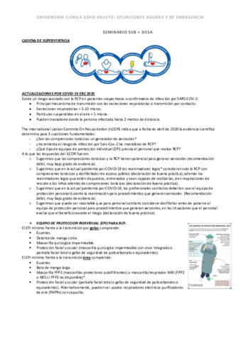 seminario-SVB-y-DESA.pdf