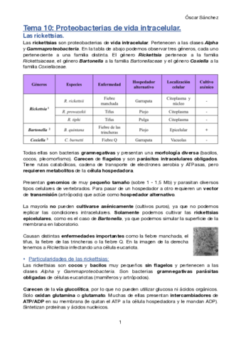 Tema-10-Micro-II.pdf