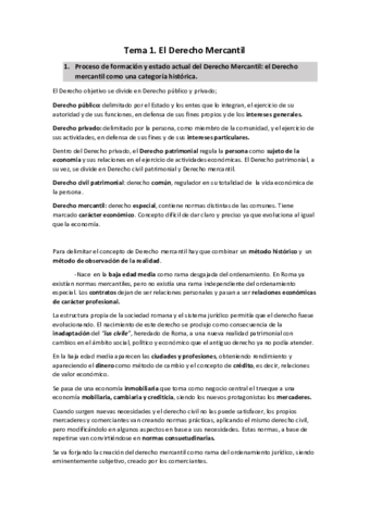 Tema-1-dm.pdf