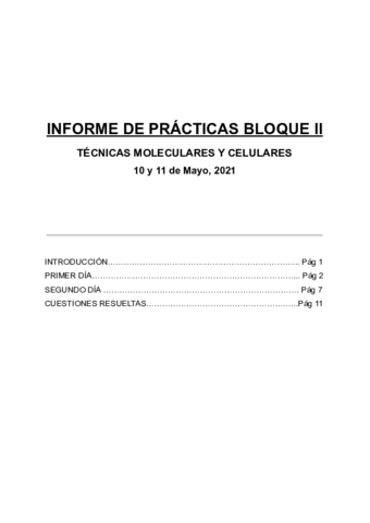 INFORME-PRACTICAS-TMC-Bloque-2-1.pdf