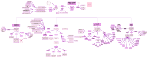 Administracion-Mapa-Segundo-Parcial.pdf