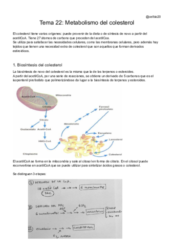 Tema-22-Metabolismo-del-colesterol.pdf