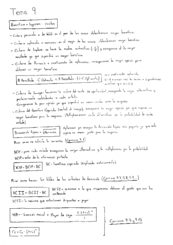 Ejercicios-Resueltos-T9-2022.pdf