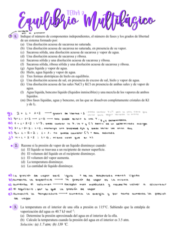 Tema-9-Ejercicios-quimica.pdf