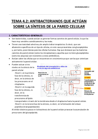 TEMA4.2. SOBRE PARED CELULAR