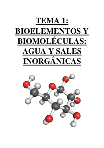TEMA 1 - BIOELEMENTOS Y BIOMOLÉCULAS.pdf