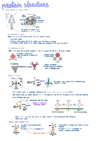 Protein-Structure-2.pdf