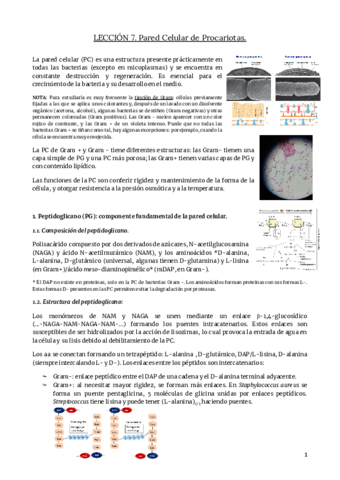 Leccion-7-Microb.pdf