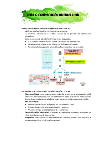 TEMA-6-COMUNICACION-INTERCELULAR.pdf