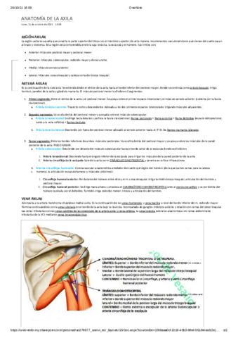 ANATOMIA-DE-LA-AXILA-CIRCU-1.pdf