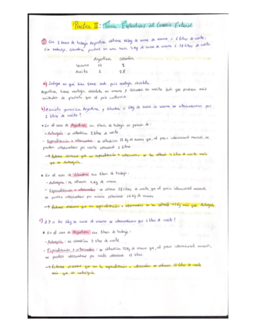 Practica-II-Resuelta.pdf