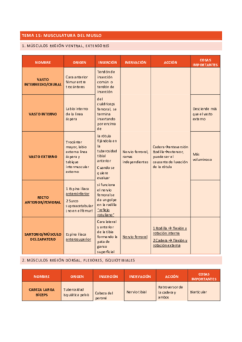 MUSCULATURA-DEL-MUSLO.pdf