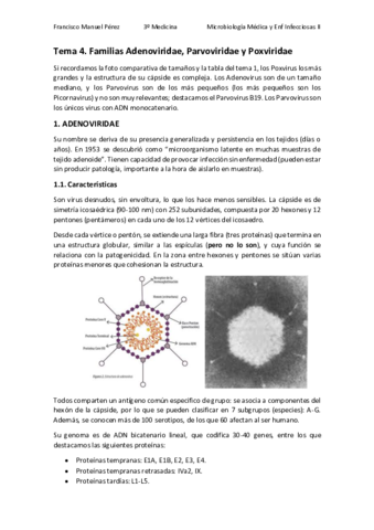 Tema-4-Micro-II.pdf